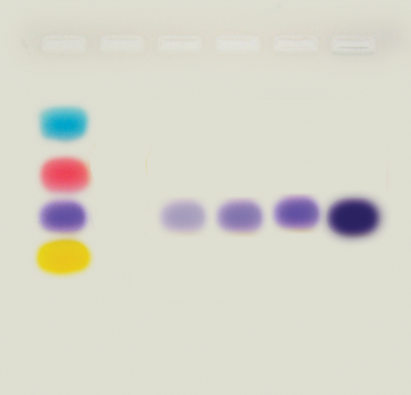 What is PCR & How Does it Work? » BioTek