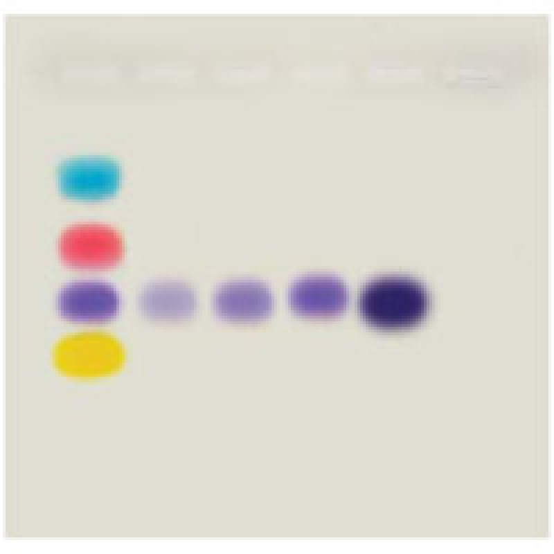 What is PCR & How Does it Work? » BioTek